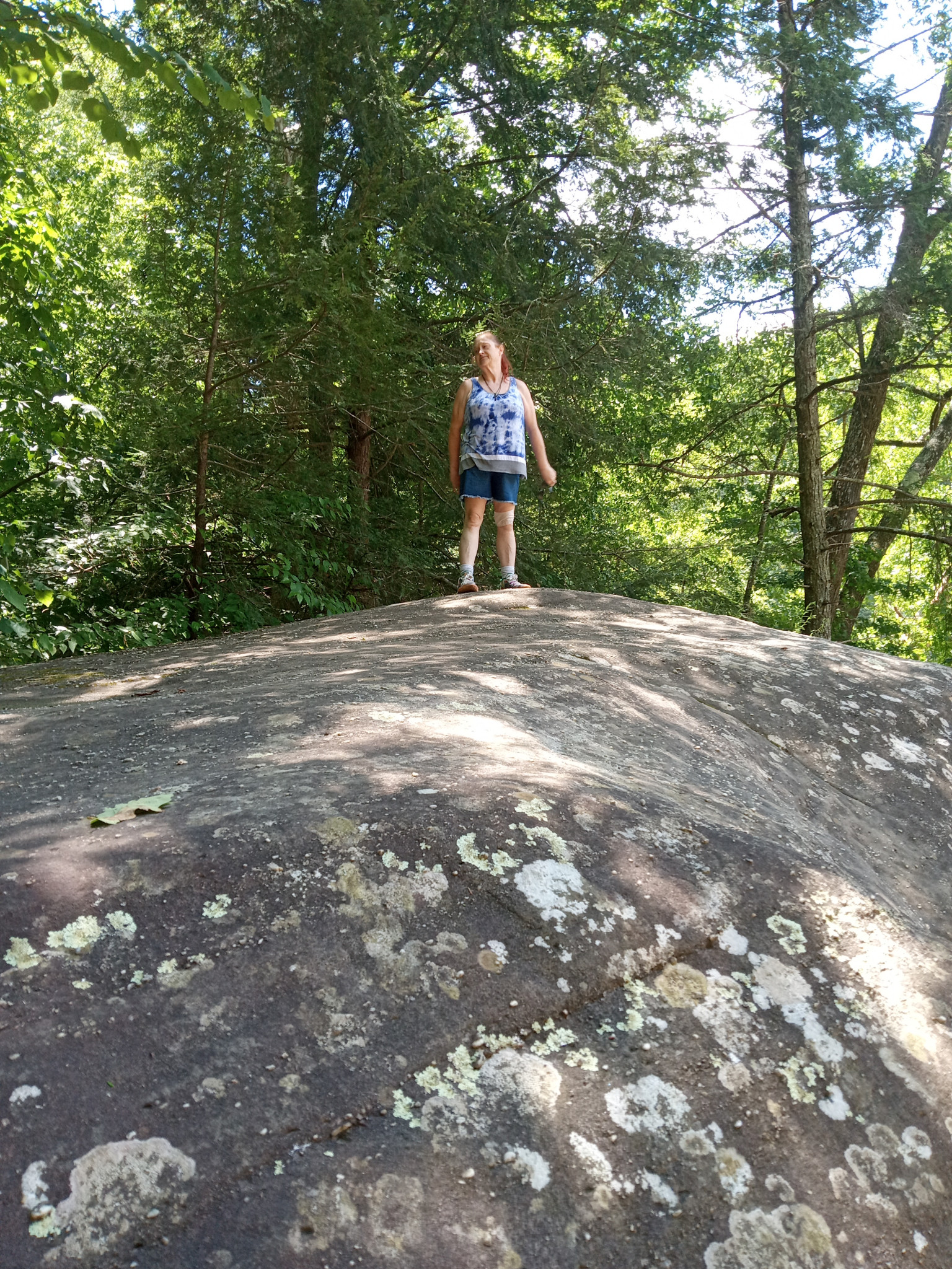 Robin Shafer | Face of Halloween presented by Jamie Lee Curtis