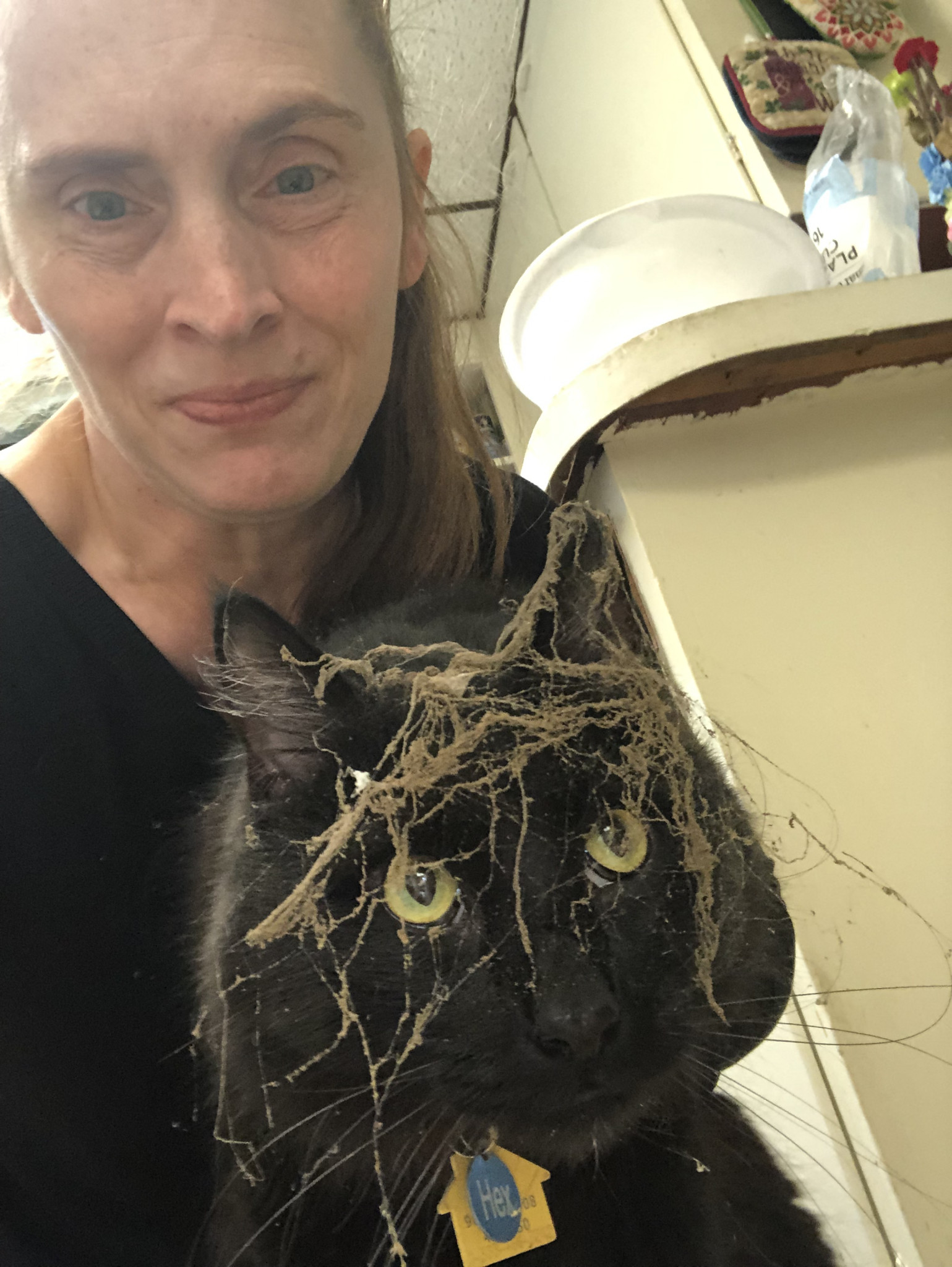 Michele Bundy | Face of Halloween presented by Jamie Lee Curtis